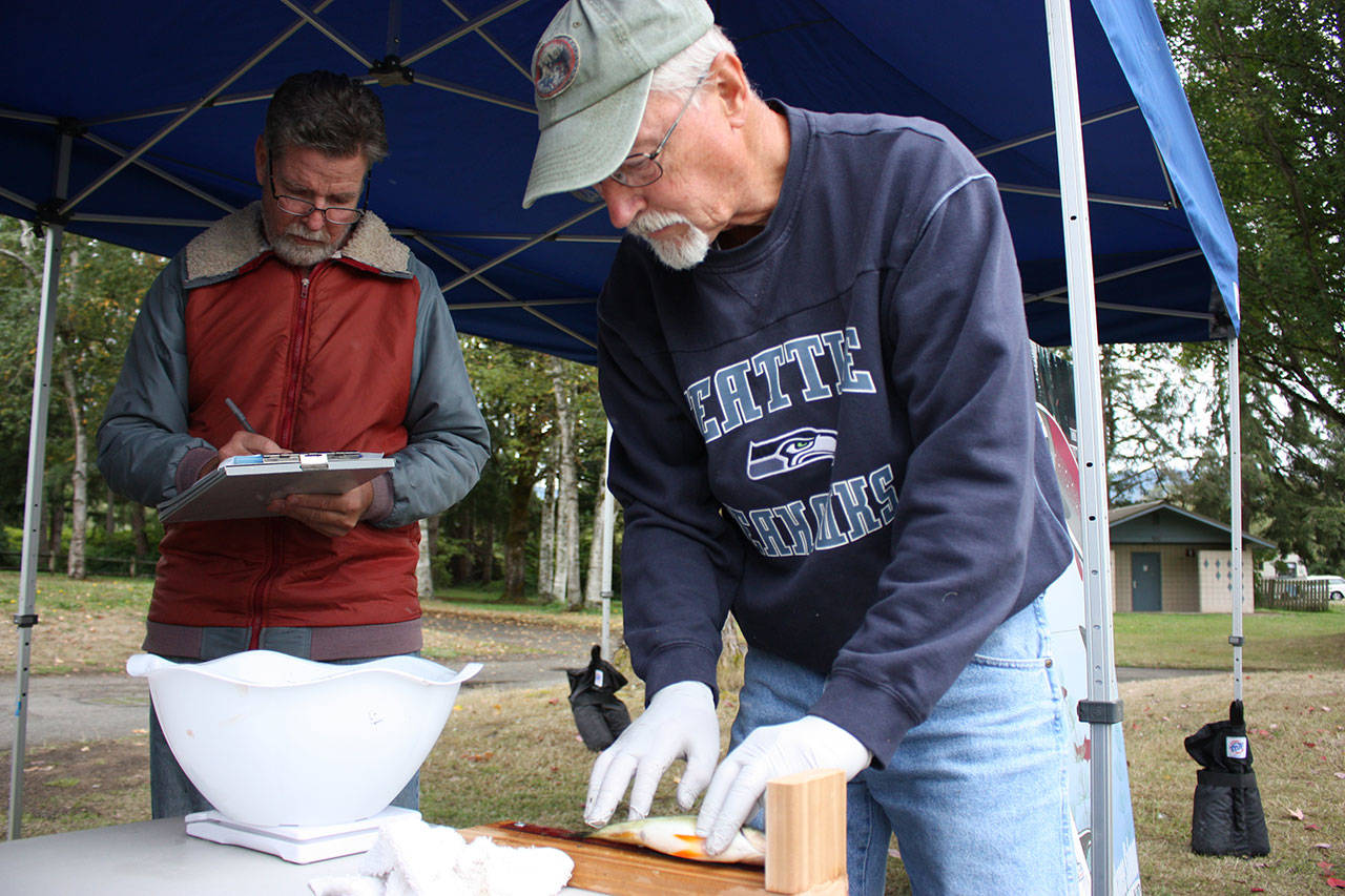 Anglers wrangle in yellow perch at Lake Sammamish | Issaquah Reporter