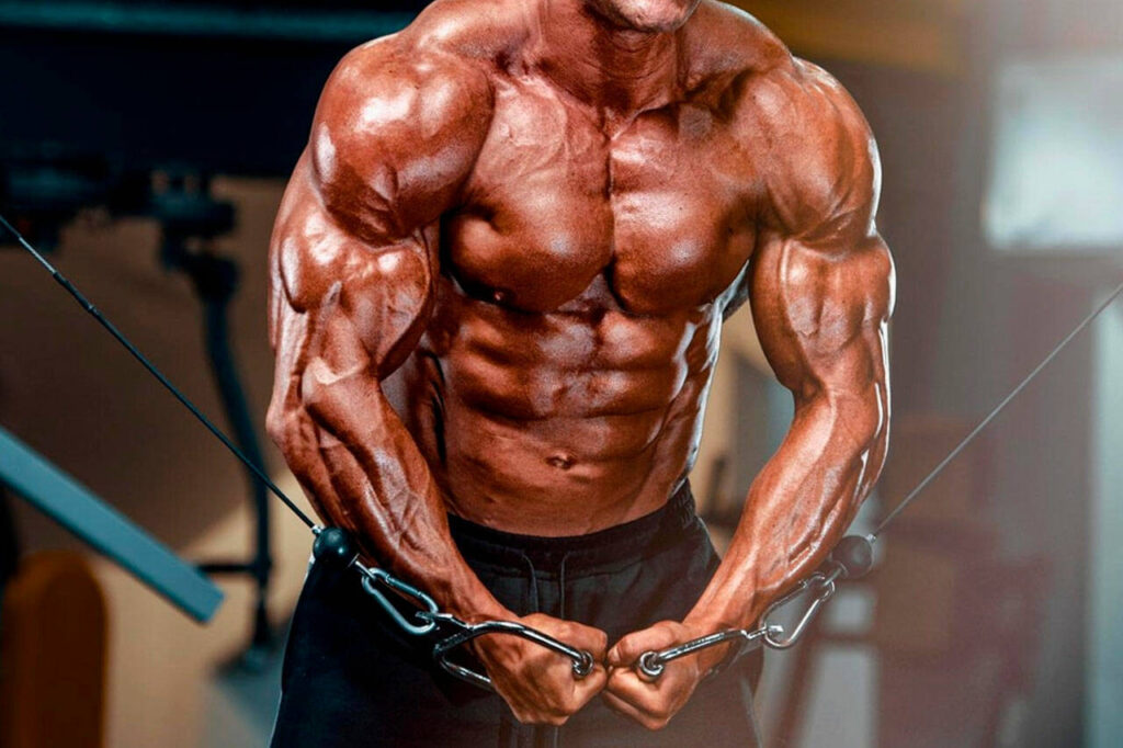 Top 10 Muscle Gain Supplements on Amazon 2024: Best Muscle Gainers on ...