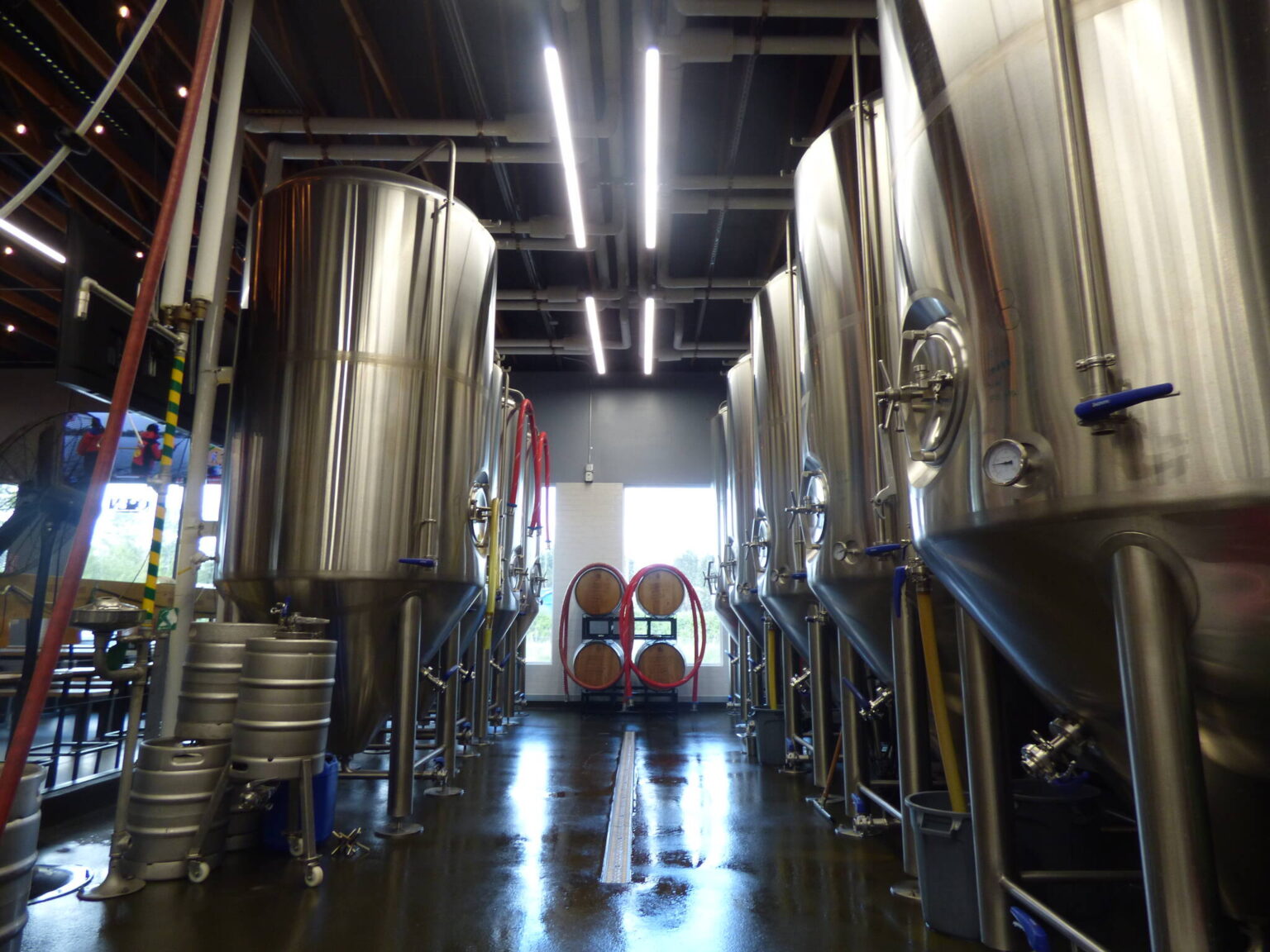 Issaquah brewery wins big at 2024 World Beer Cup | Issaquah Reporter