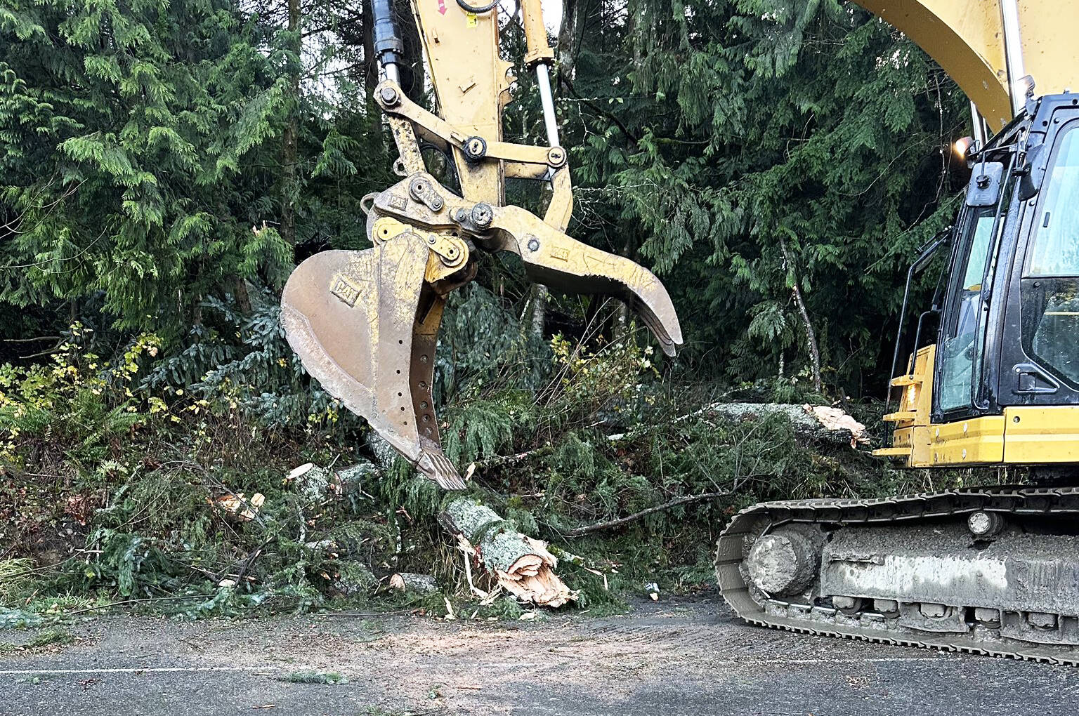 King County Council approves legislation to help bomb cyclone victims ...